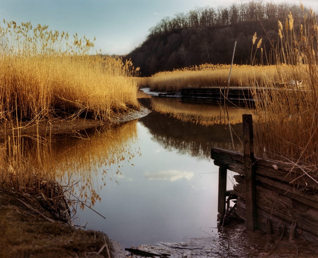 Four questions with Joseph Squillante